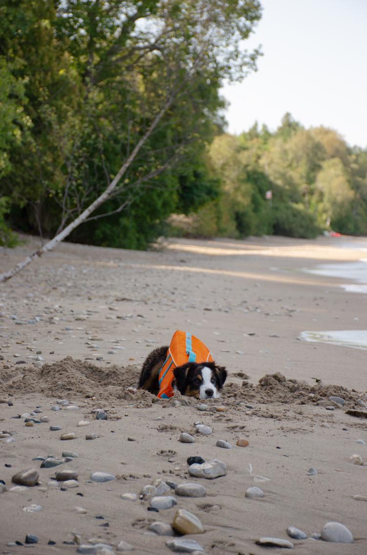 Dipper's portfolio content