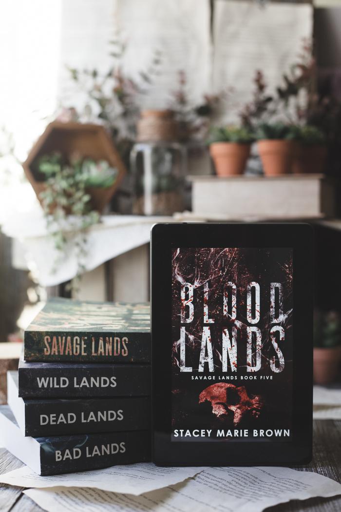 Mary Funk's portfolio content