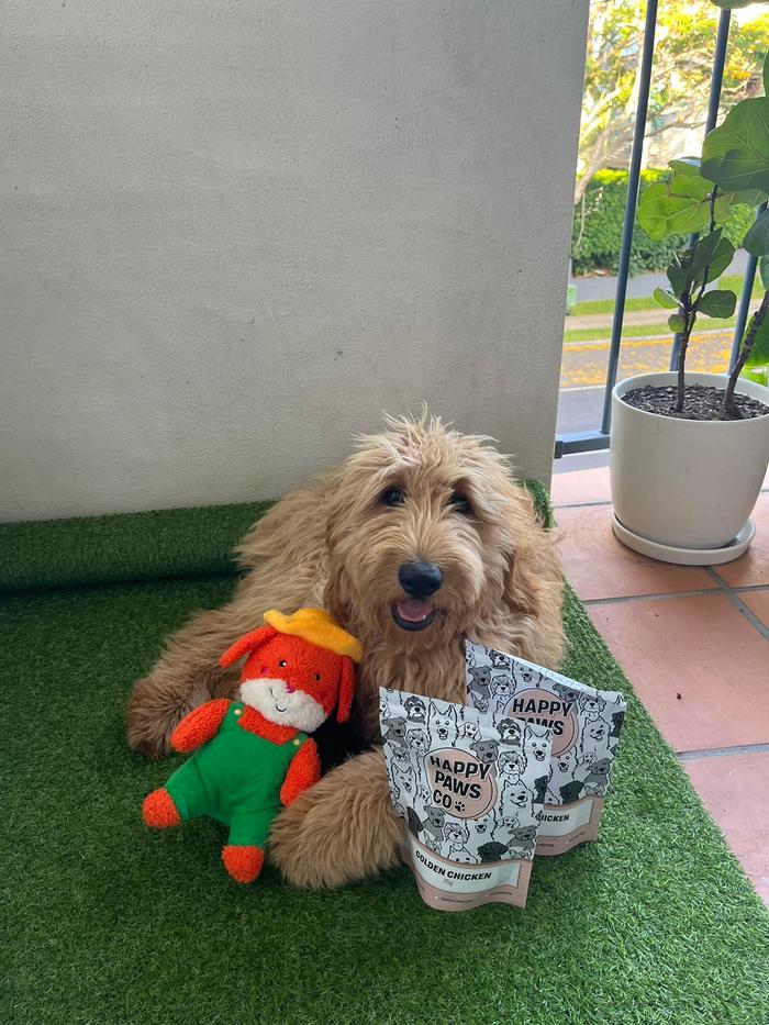 Mason Berry's portfolio content