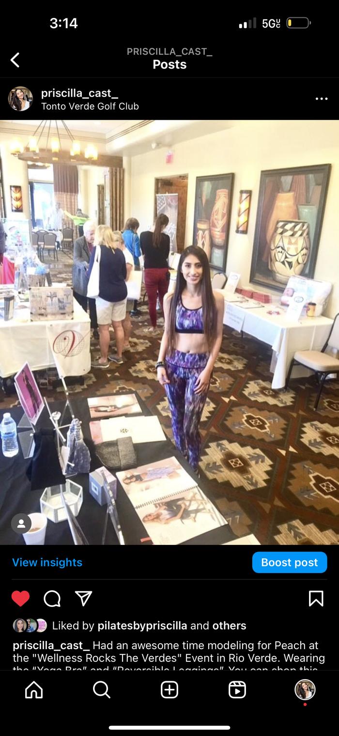 Priscilla Castaneda's portfolio content