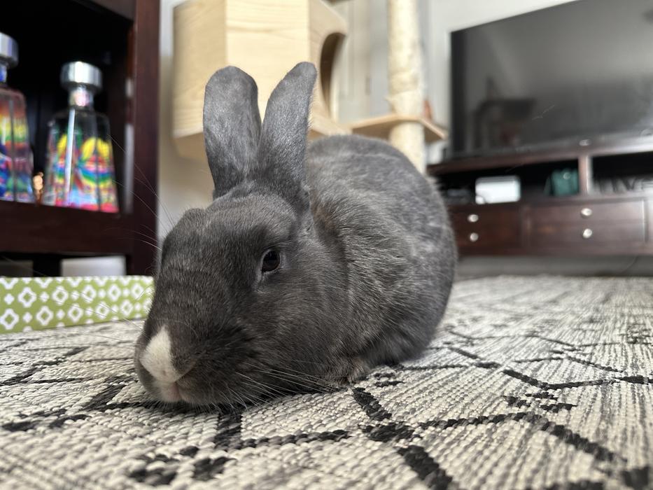 Margaux Di Iorio's portfolio content